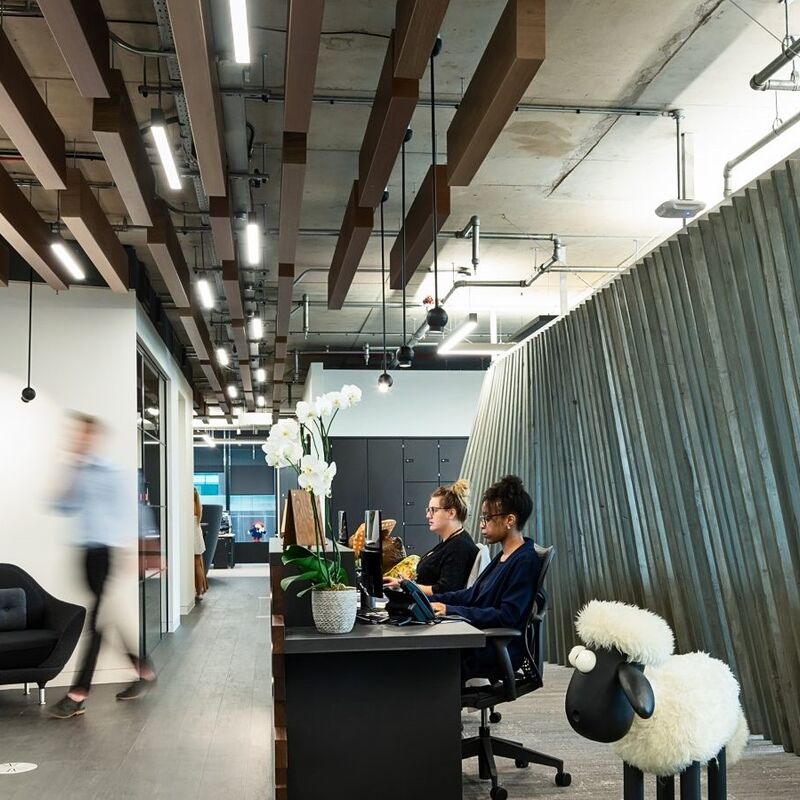 Architectural Lighting - Projects & Case Studies | Light Forms