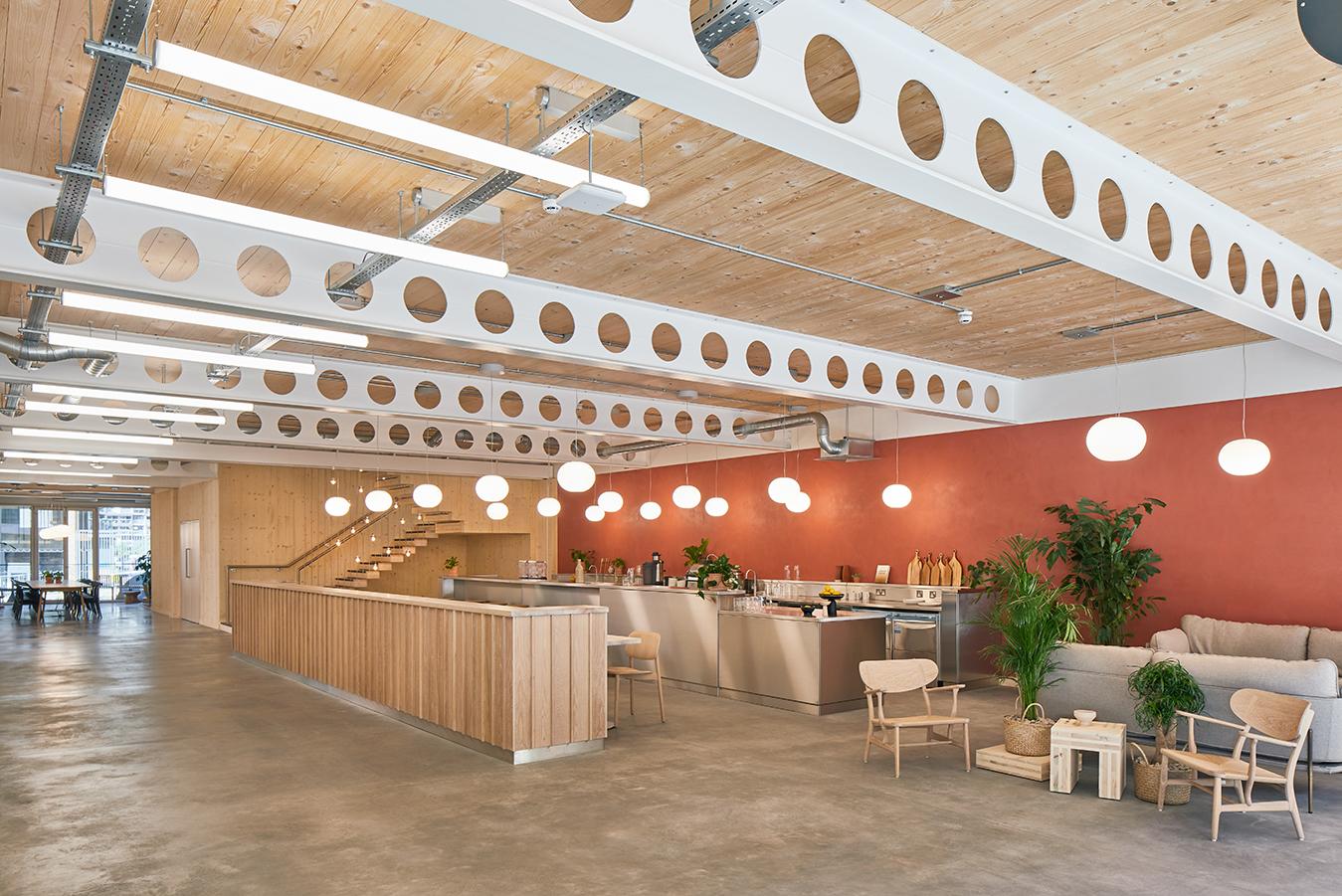 Light Forms - Made to Measure Lighting Solutions