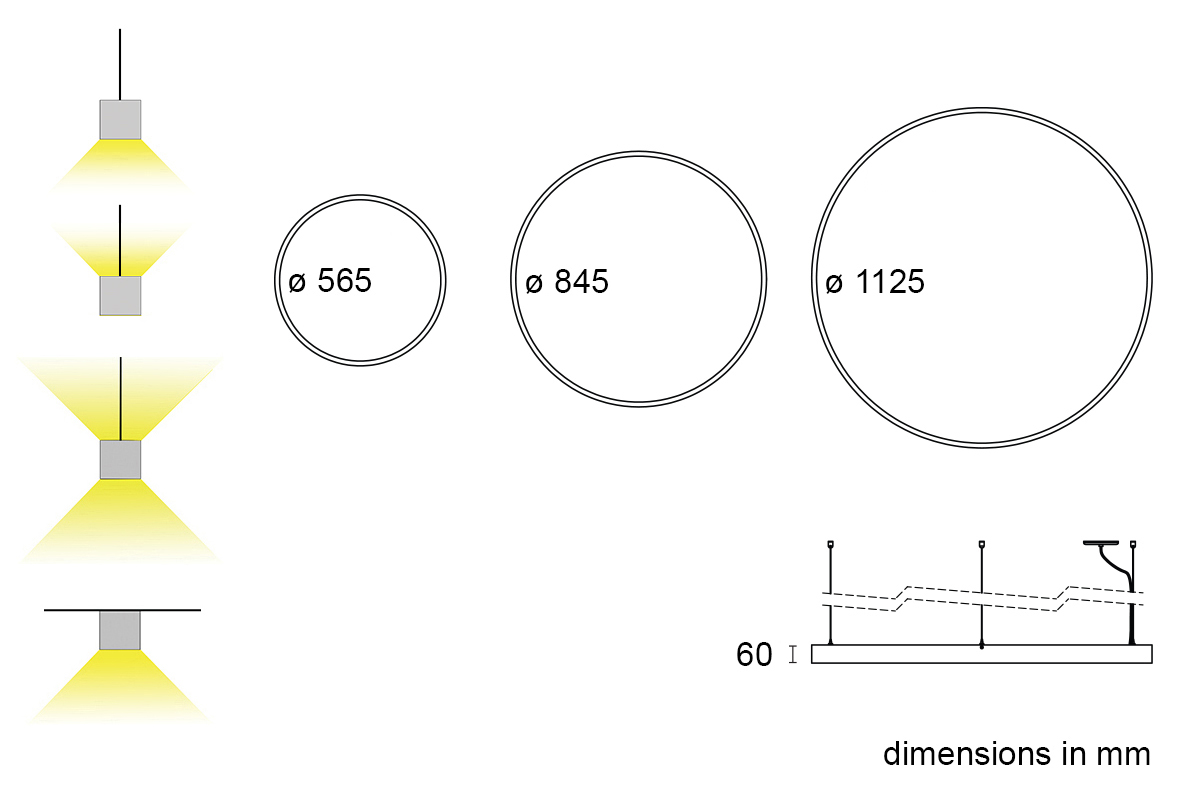 MoonFull | Light Forms